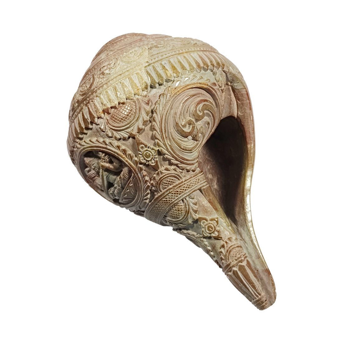 Online Shankh or Conch at Best Prices For Pooja and Prosperity | CONCH ...