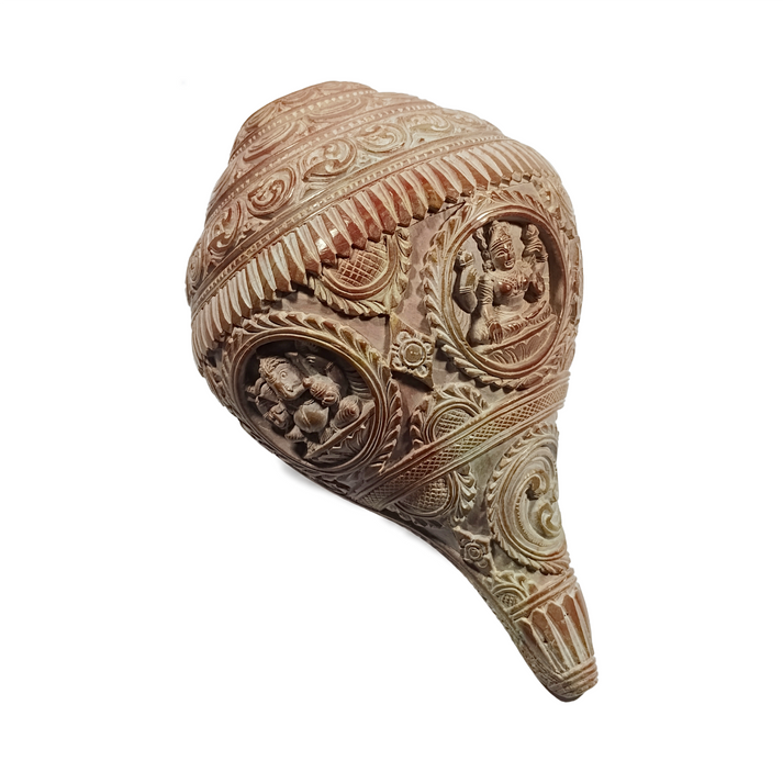Online Shankh or Conch at Best Prices For Pooja and Prosperity | CONCH ...
